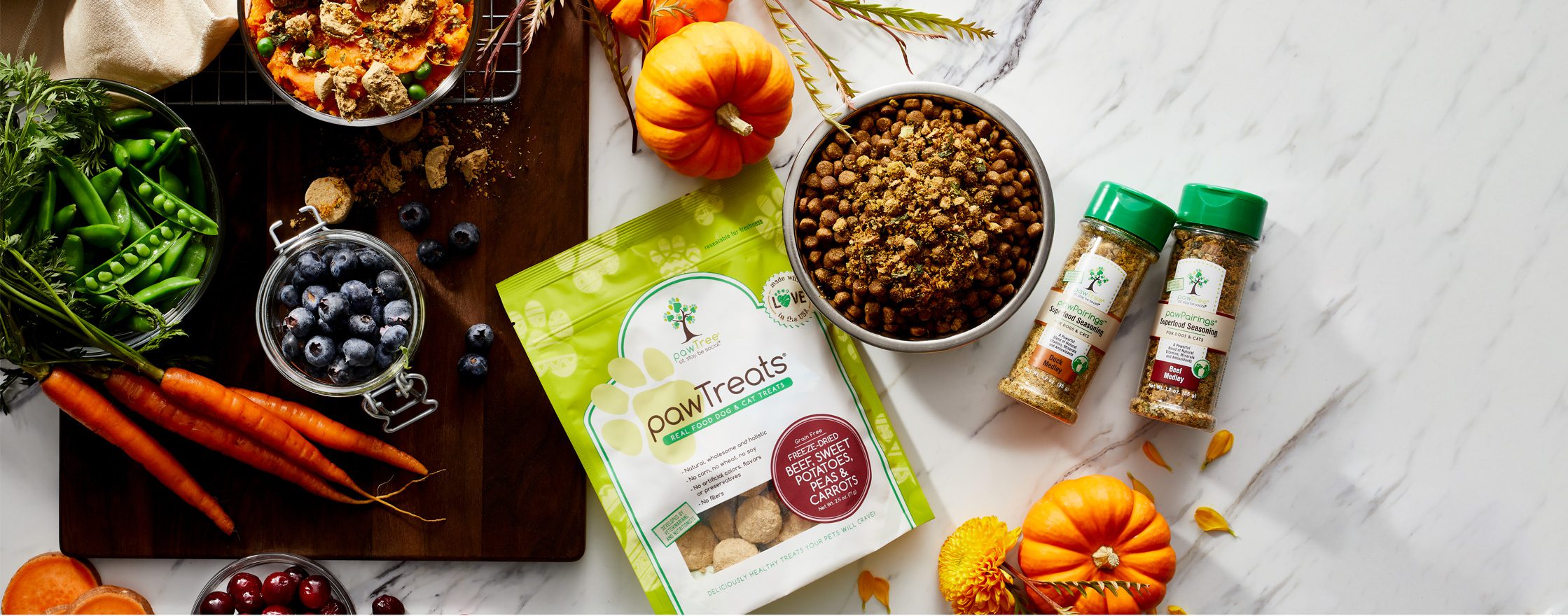 Quick, Easy Recipes Your Pets Will Love! - Blogs